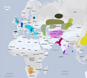 Where did your Ancestors live 8.000 years ago? - World premiere ...